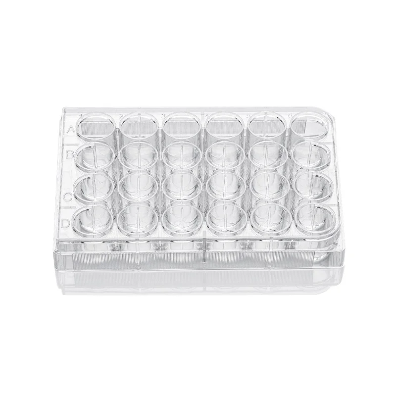 LABSELECT-24-well-Cell-Culture-Plate-11310.jpg