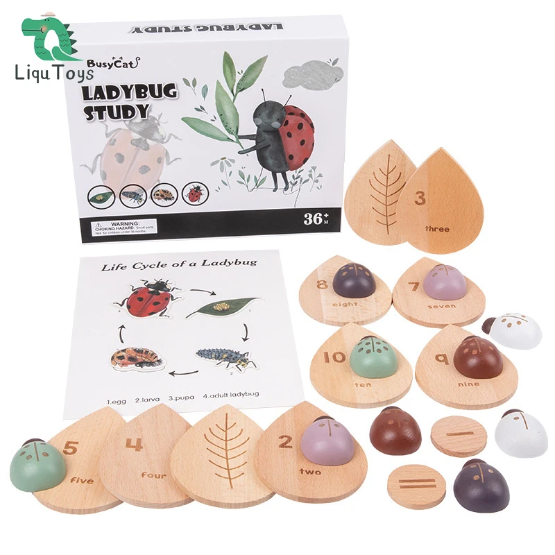 Wooden Counting Toys | Wooden Education Toy | Ladybug Montessori | Liqu ...