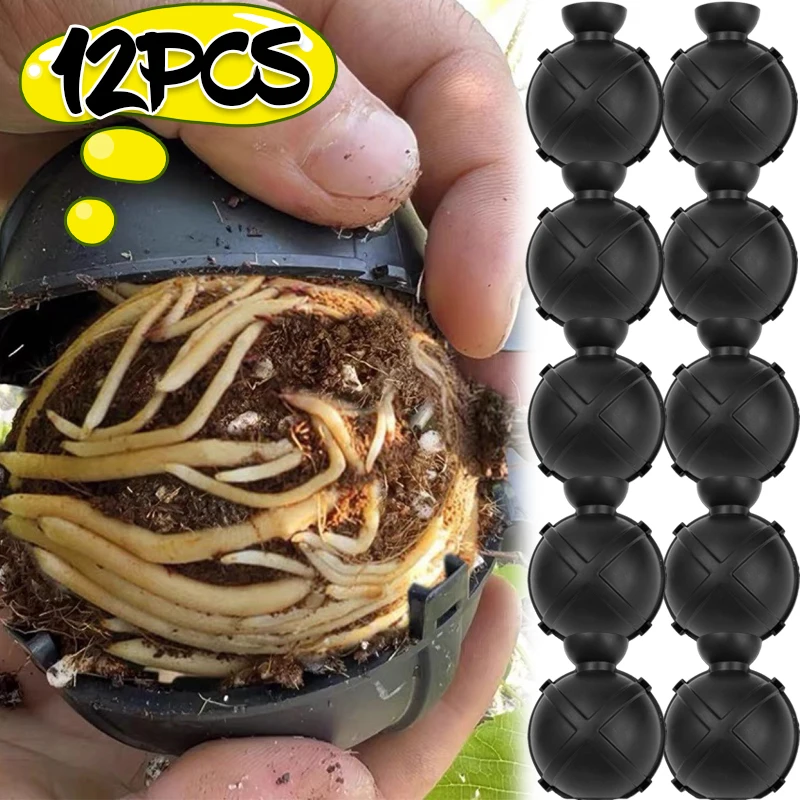 The Ultimate Guide to Using Rooting Balls for Successful Plant Propagation