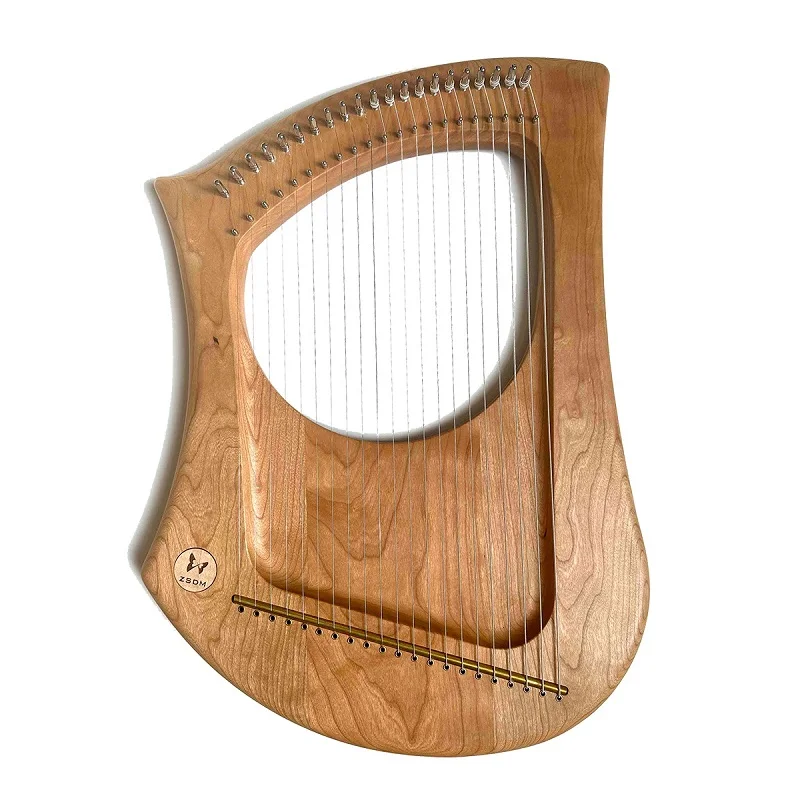 Portable Harp 22 String Professional Arpa Wood Adult Lyre Traditional ...