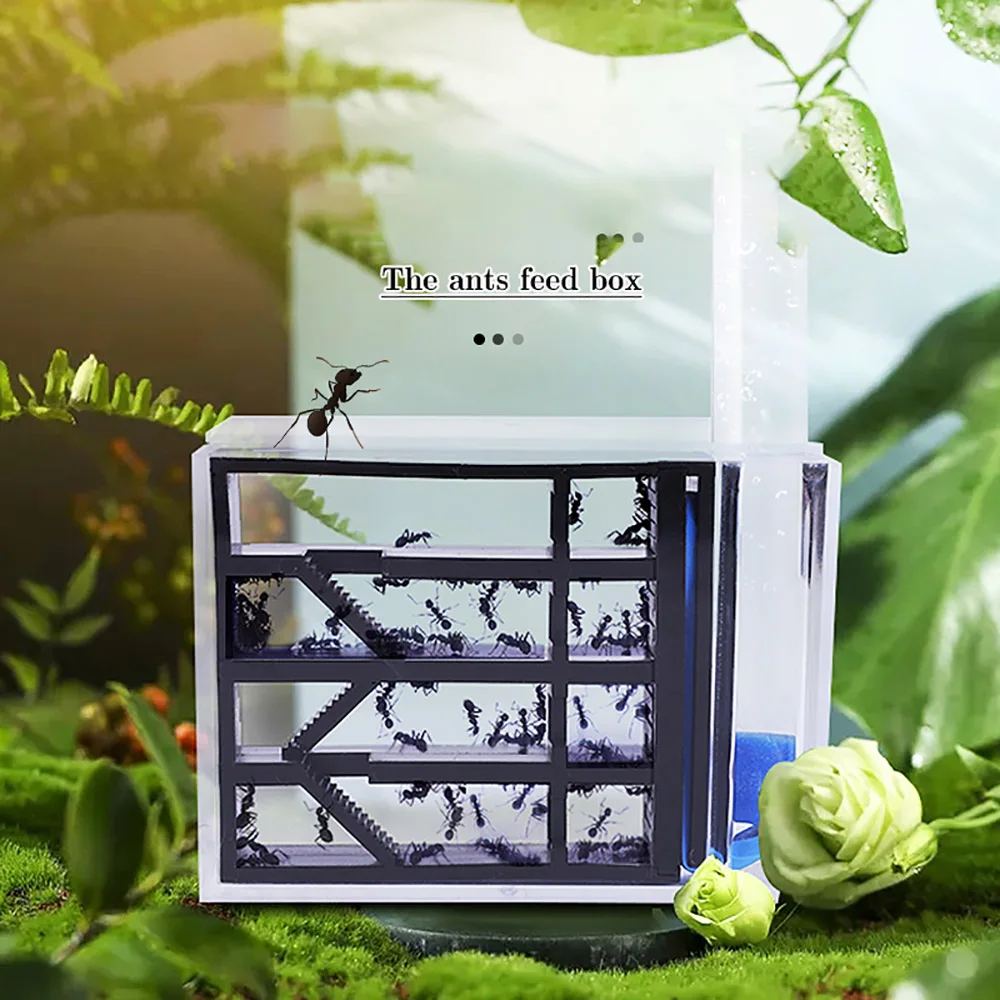Ant Biomimetic Nest Acrylic Ant Workshop Pet Castle Transparent ...