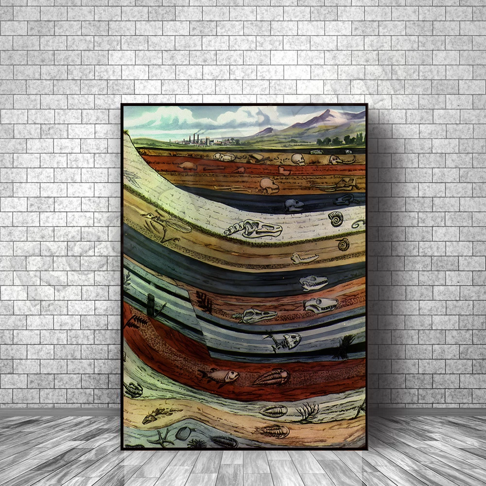 Fossils and geology time poster, geology timescale wall art, earth ...
