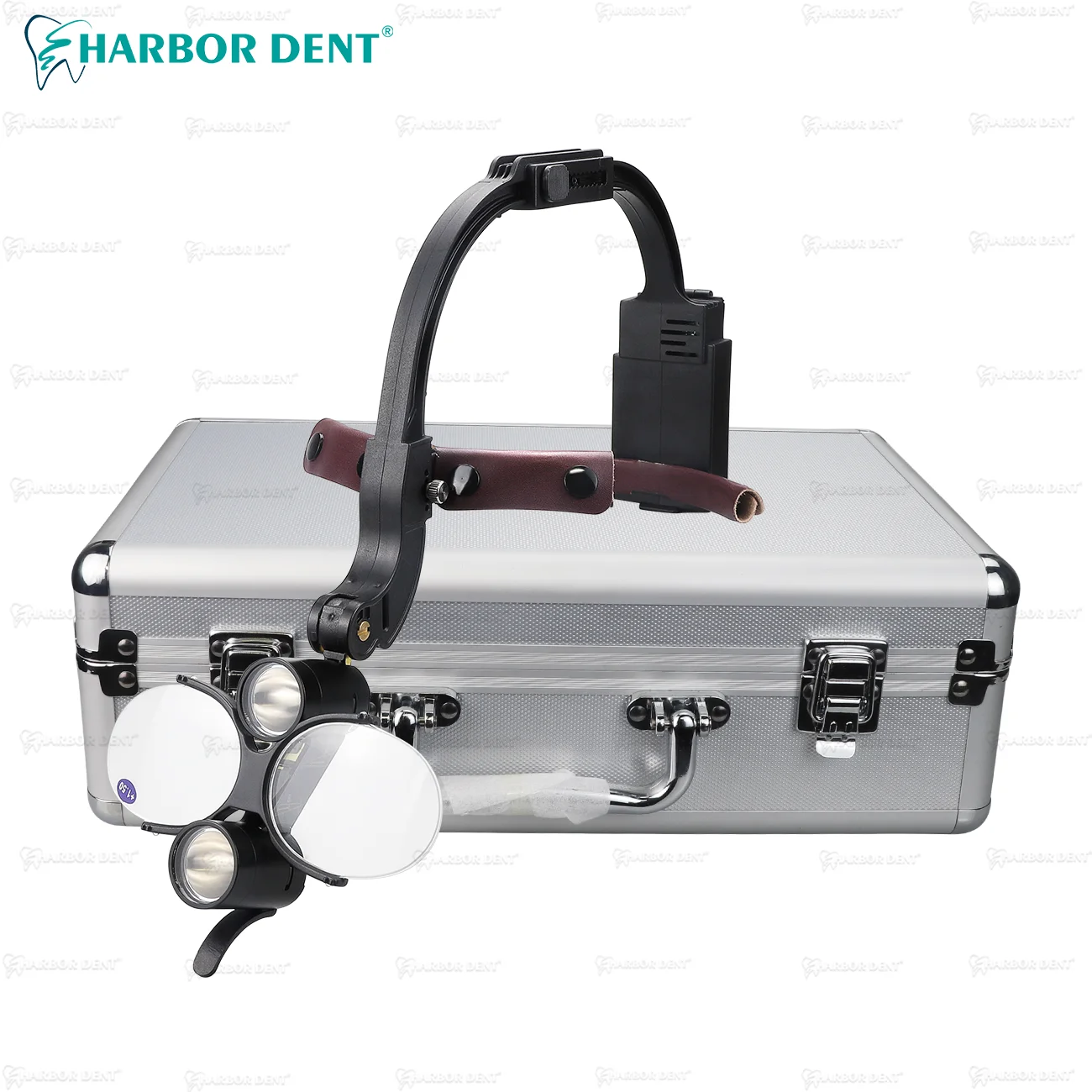 Aluminum-Box-Dental-Loupe-Magnification-Binocular-Surgery-Surgical ...