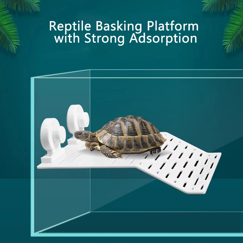 Turtle Basking Log: The Real Solution My Red-Eared Slider Needed After ...
