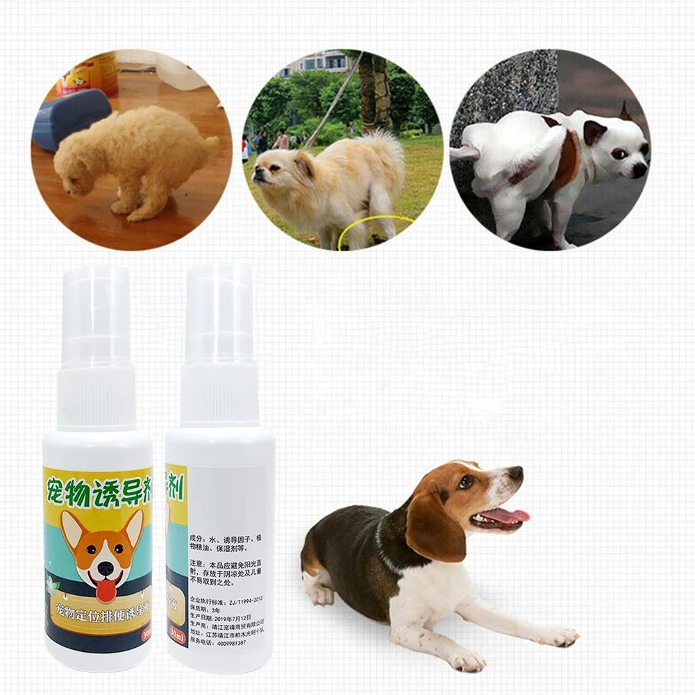 Are Dogs Naturally Potty Trained