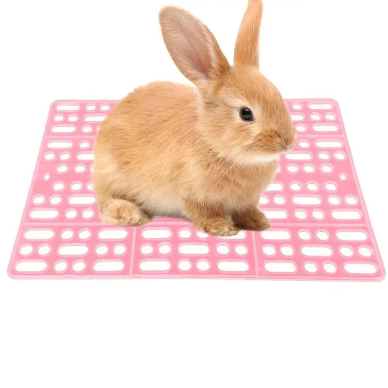 피그미족 완두콩