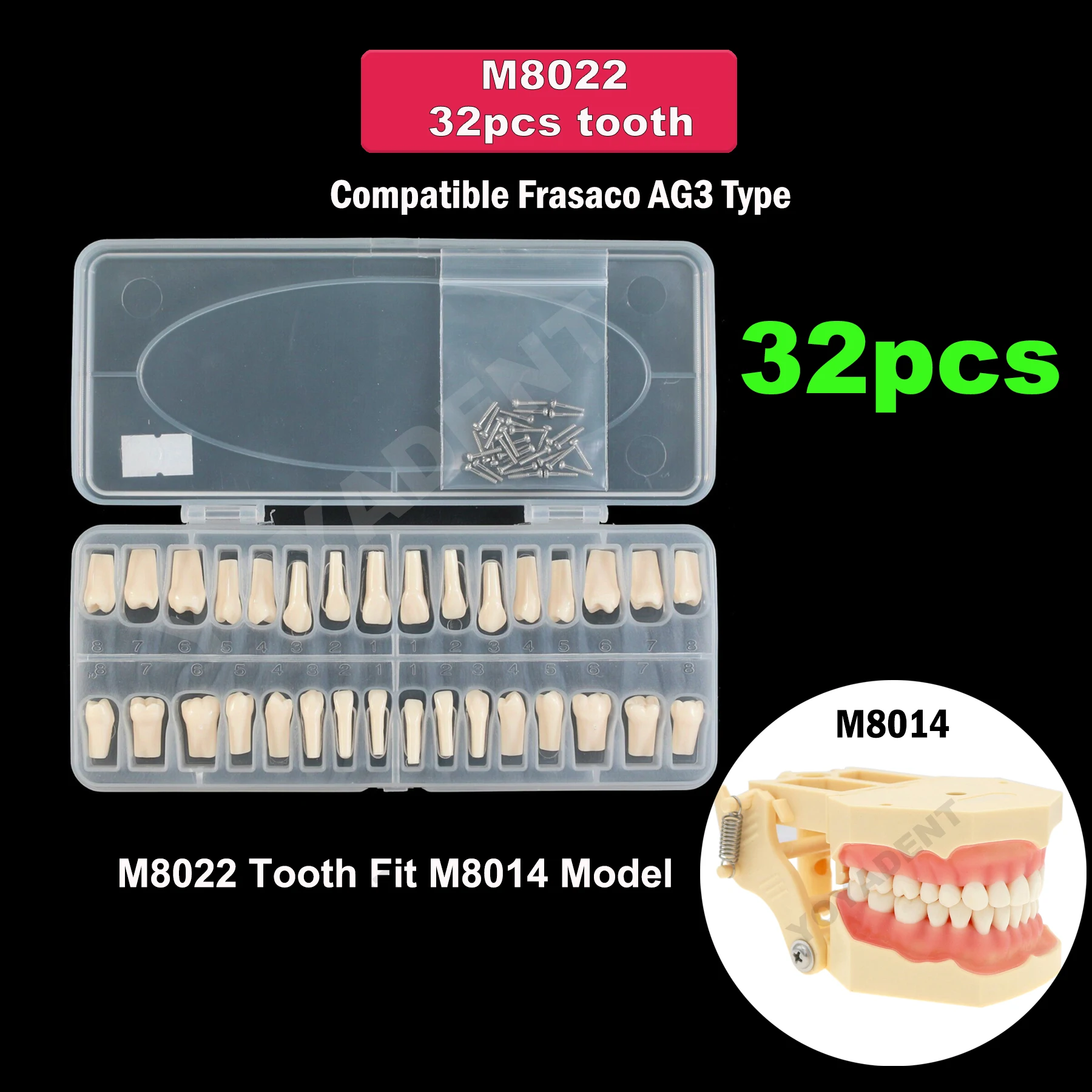 Universal-32Pcs-Replacement-Tooth-Particles-Fit-Frasaco-AG-3-Teeth ...