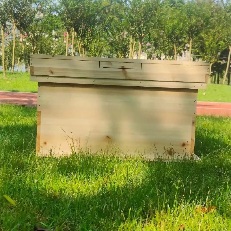 Queen Bee Hives Wooden Beehive Beekeeping Materials Automatic Bees Hive ...