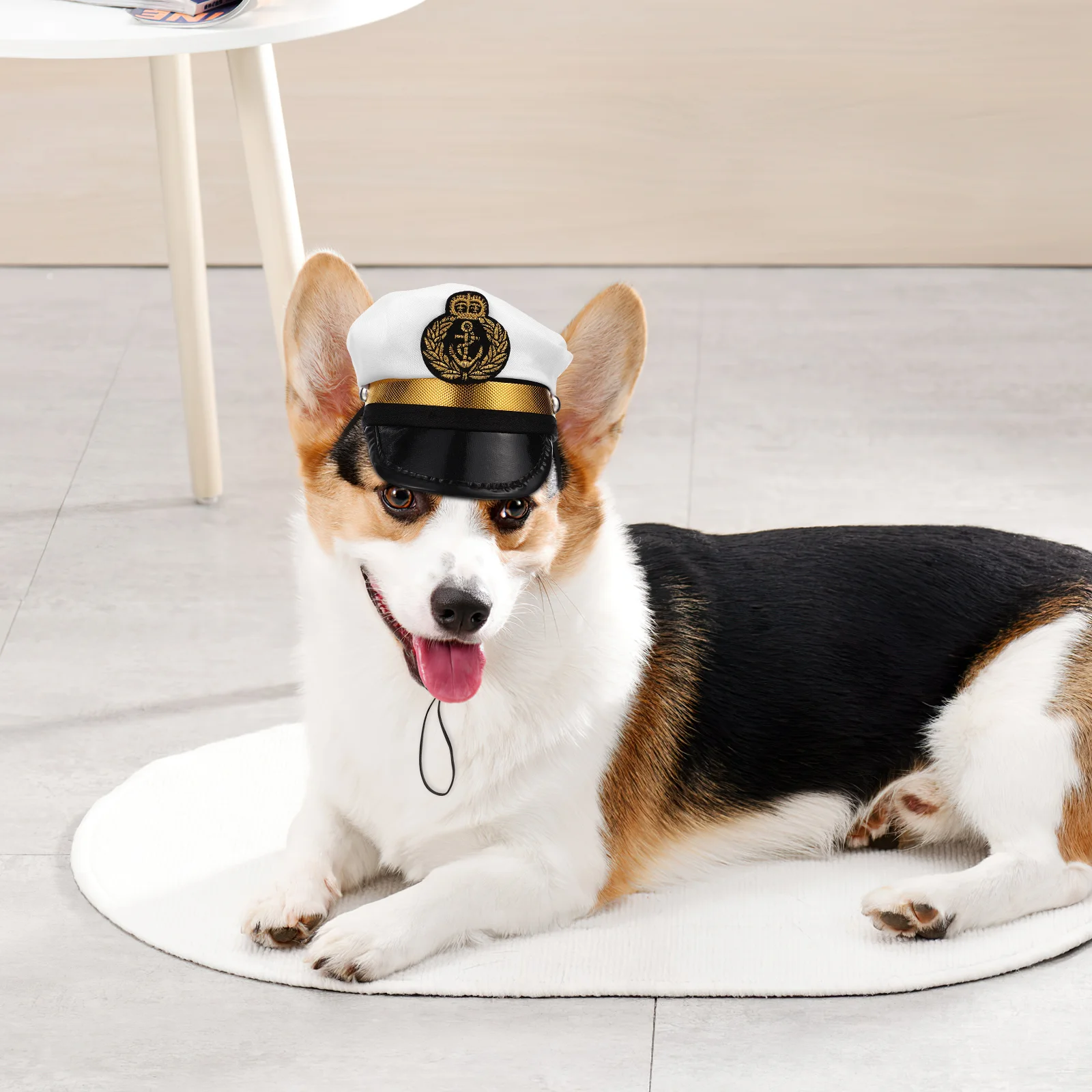 Captain Hat For Dogs