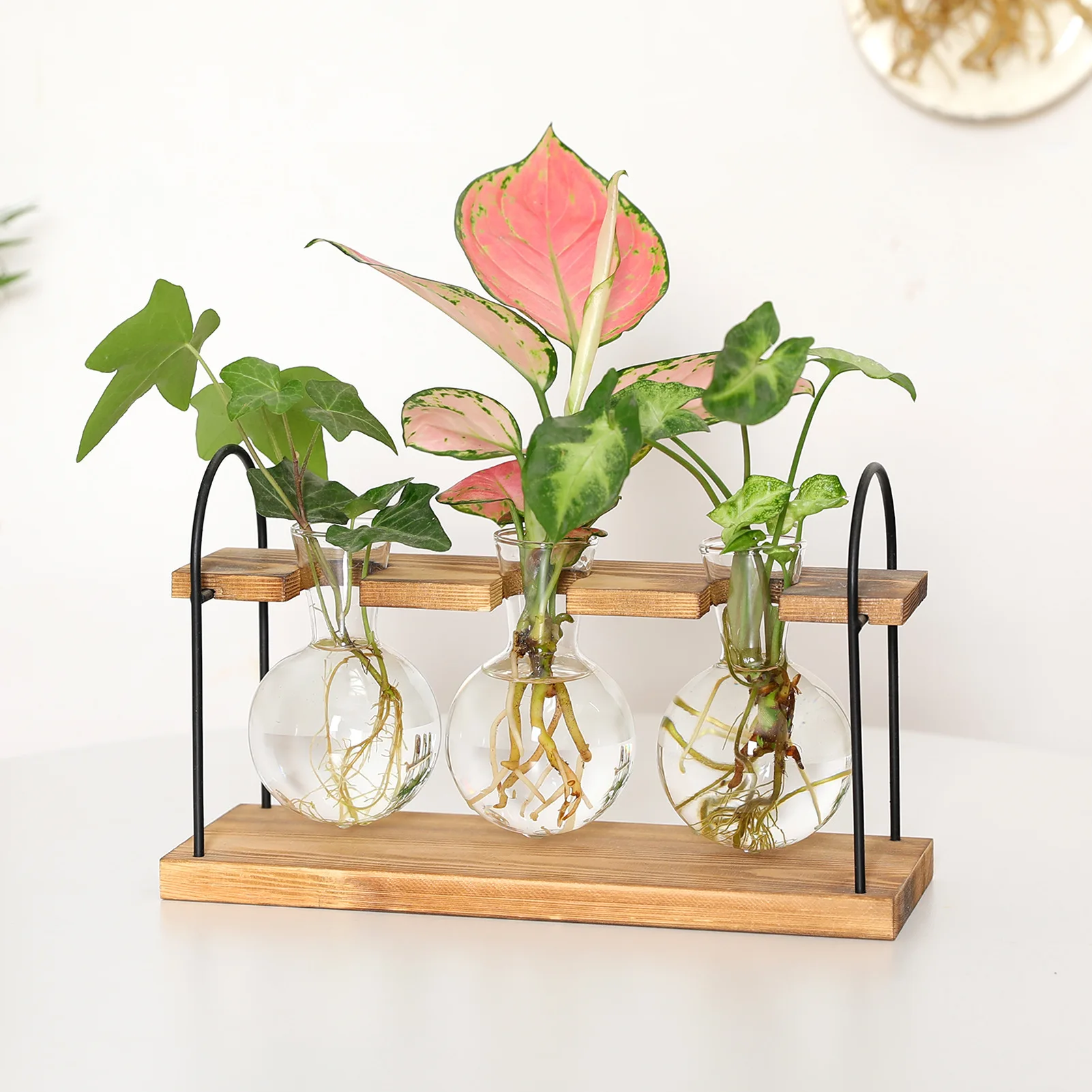 Store Home Products Feedback