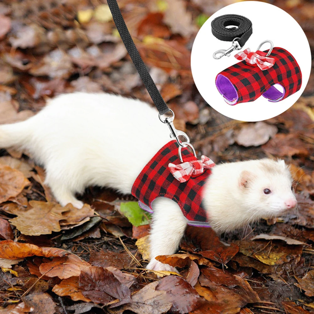 Small-Pet-Rabbit-Harness-Vest-and-Leash-Set-For-Ferret-Guinea-Pig-Bunny ...