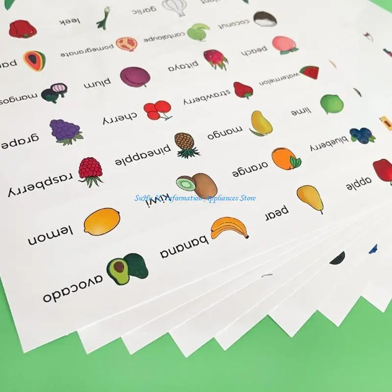 Educational Vocabulary Sticker English Word Sticker Adhesive English ...