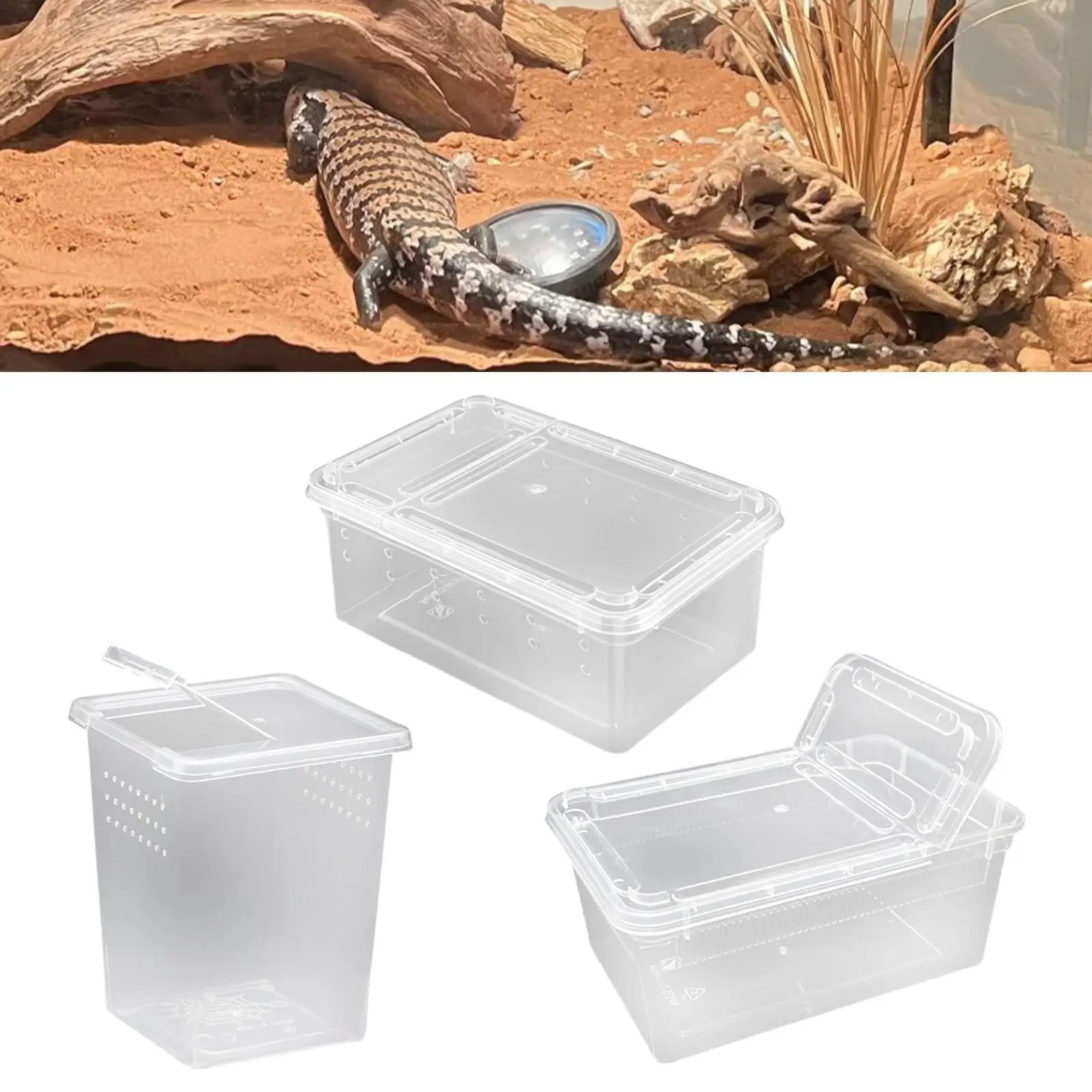 Reptile Feeding Box Case Turtle Transport Container Mini Terrarium ...