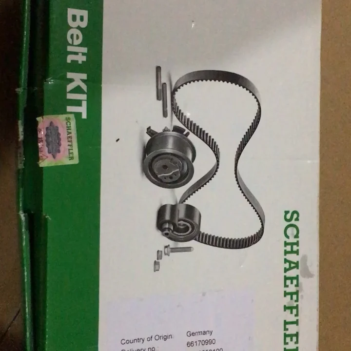 Kit de correa de cadena de distribución del motor INA 5300550100 ...