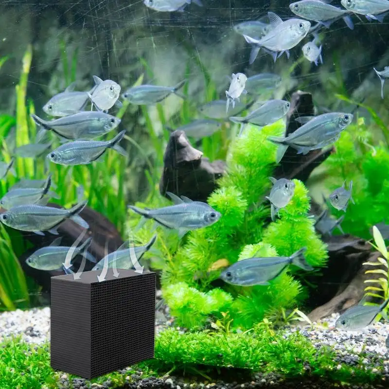 Water-Trough-Purifier-Cube-Eco-Aquarium-Water-Purifier-Cube-Ultra ...