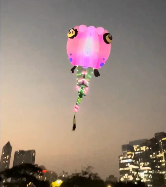 Luminous tadpole soft kite giant fly floatant Koi carp popit giant ...