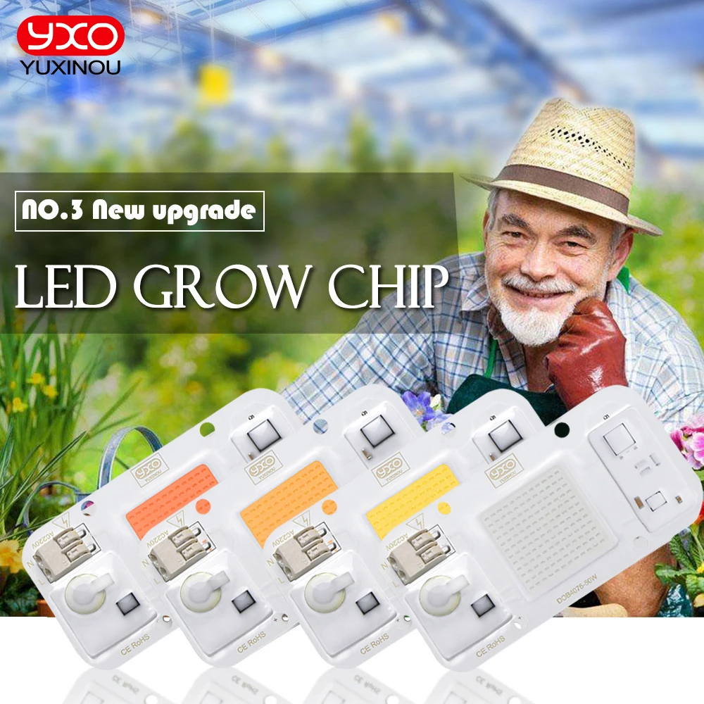 DIY-LED-SMD-Chip-Lamp-30W-50W-Light-Chip-230V-Input-Directly-Smart-IC ...