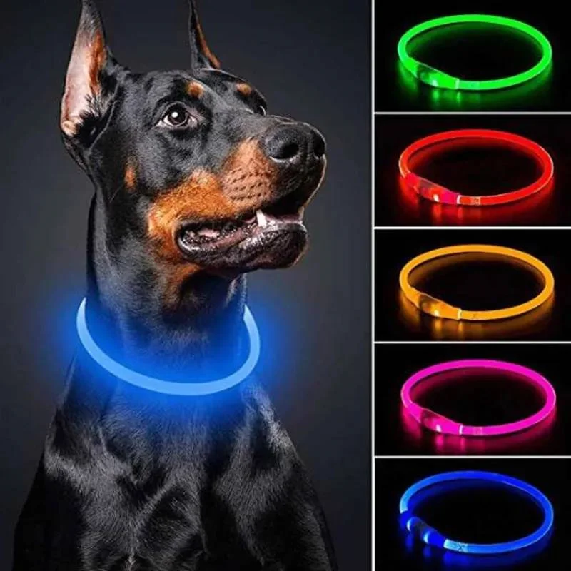 Collier-de-charge-LED-Shoous-pour-animaux-de-compagnie-pr-vention-de-la ...