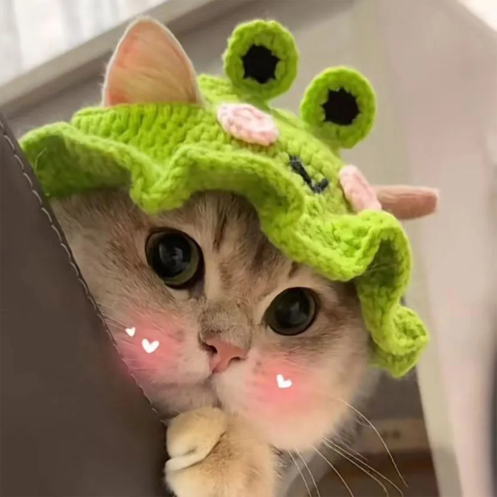 Cats In Frog Hats