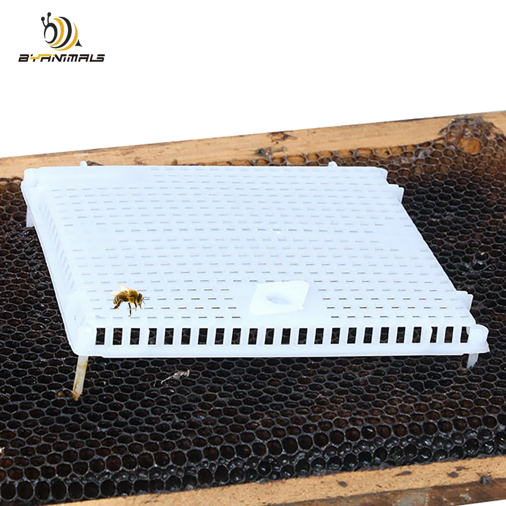 Queen-Nicot-Push-In-Comb-Intro-Cage-Travelling-Isolation-Frame-Mounted ...