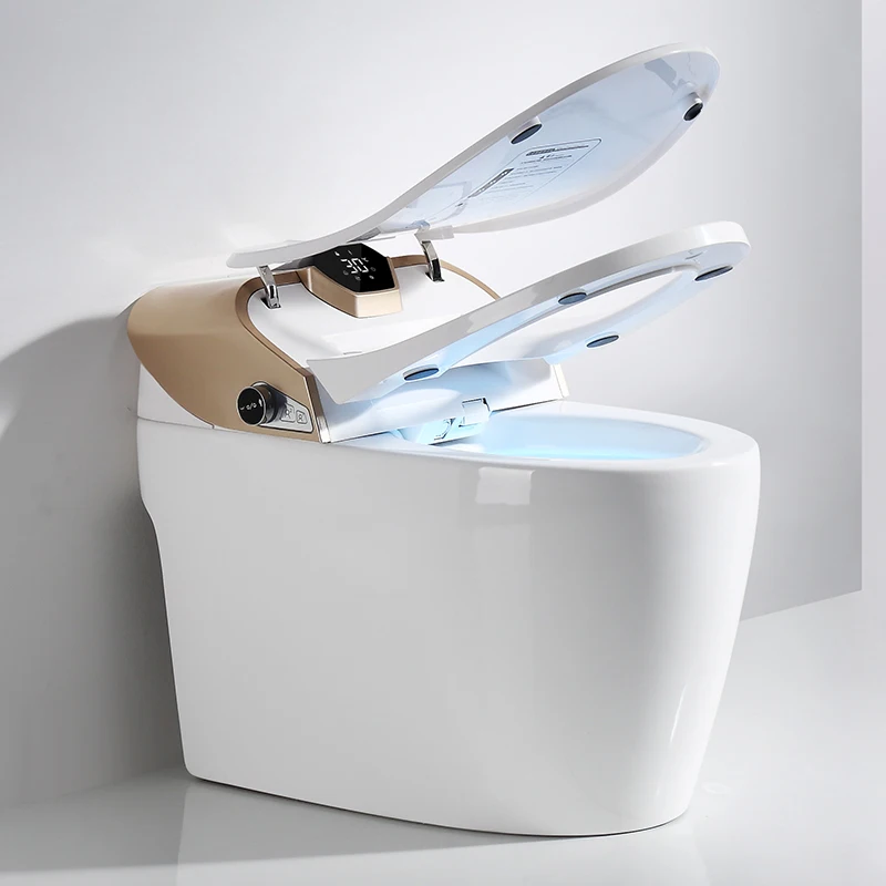 Intelligent-electric-toilet-with-self-cleaning-spray-nozzle-bathroom ...