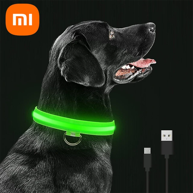 Day Glo Collar Lead