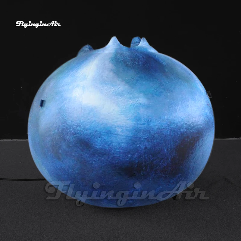 Wonderful-Large-Inflatable-Blueberry-Bilberry-Dark-Blue-Fruit-Balloon ...