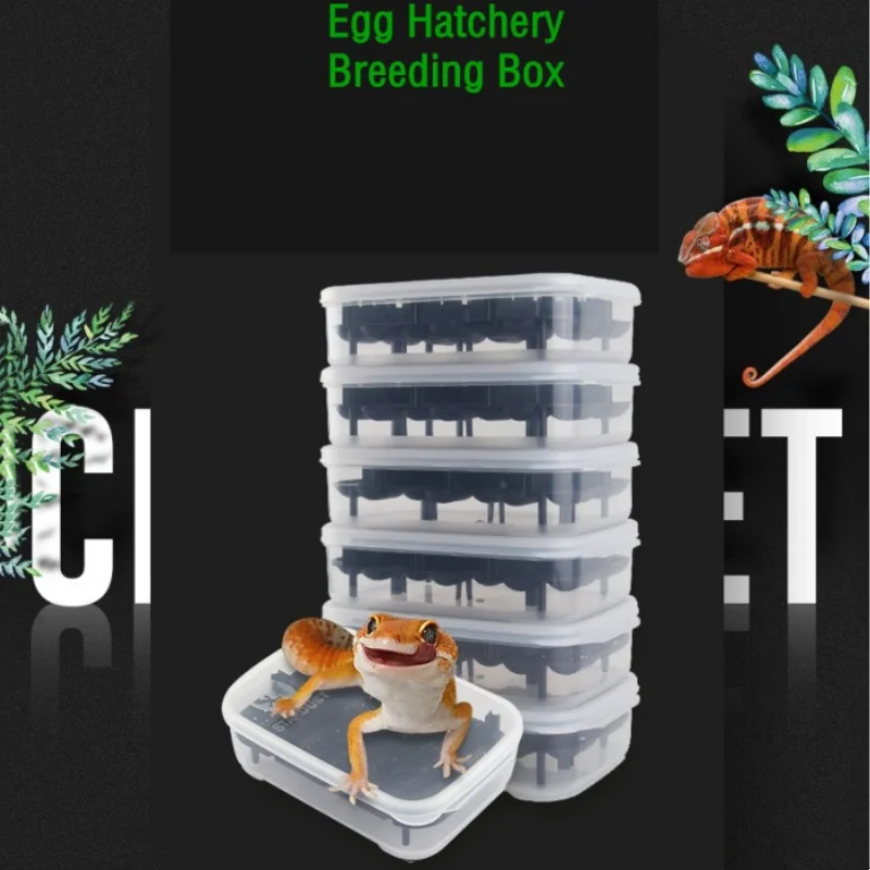 14 Grids Snake Lizard Egg 2pcs Reptile Hatchery Incubator Snake Lizard ...