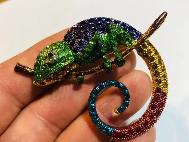 Chameleon brooch store