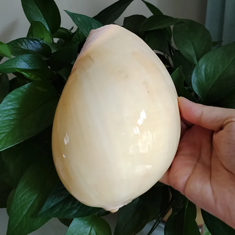 Store Home Products Getaway Deals Feedback