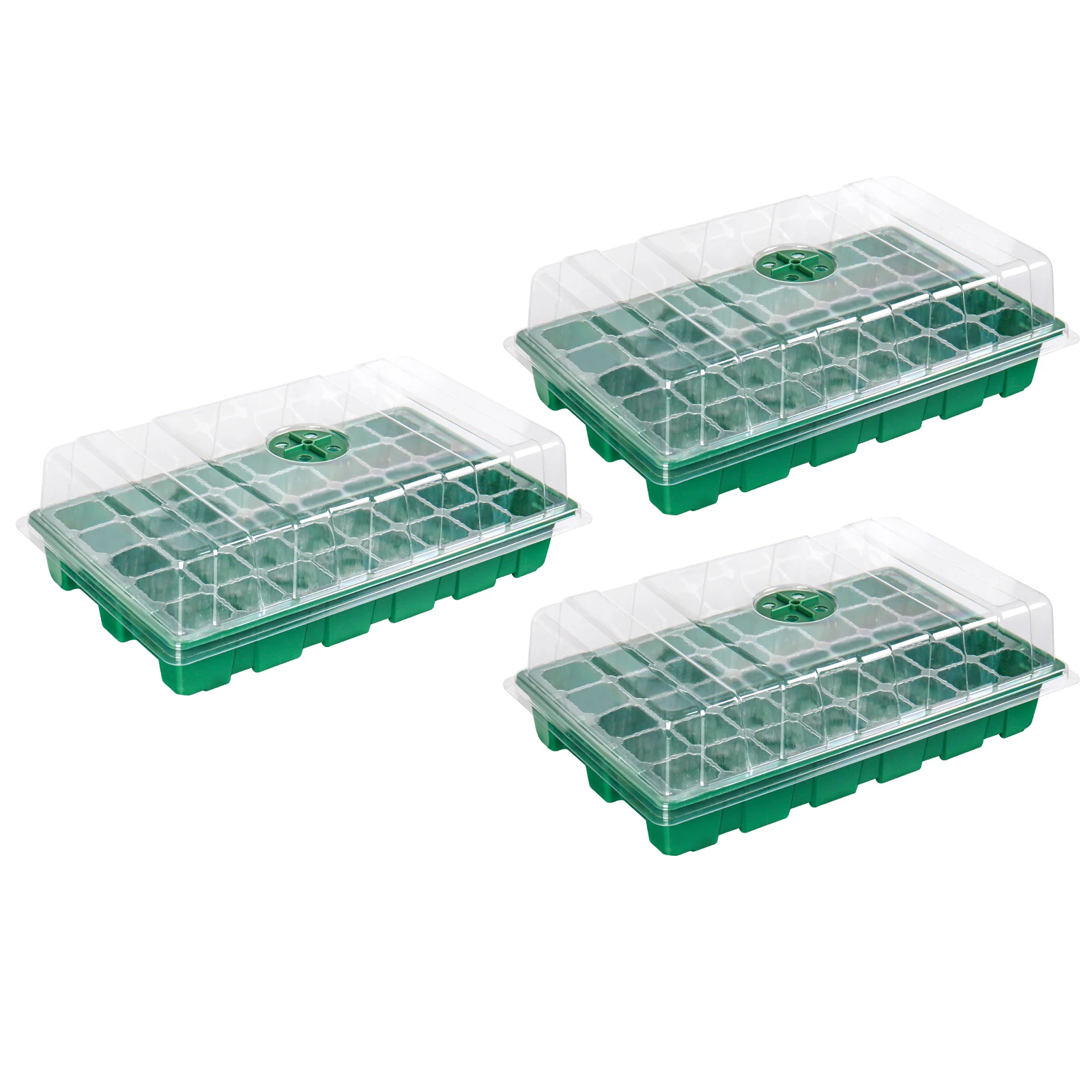 3-pcs-Seed-Tray-40-Holes-Cell-Propagator-Growth-Thickening-Seedling ...