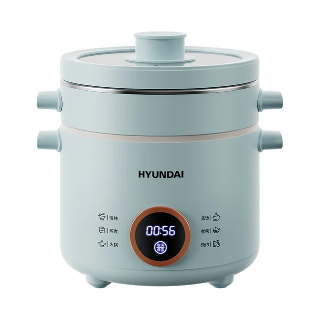 2.0L Electric Rice Cooker Cooking Pot Mini Multicooker Lunch Box Rice ...