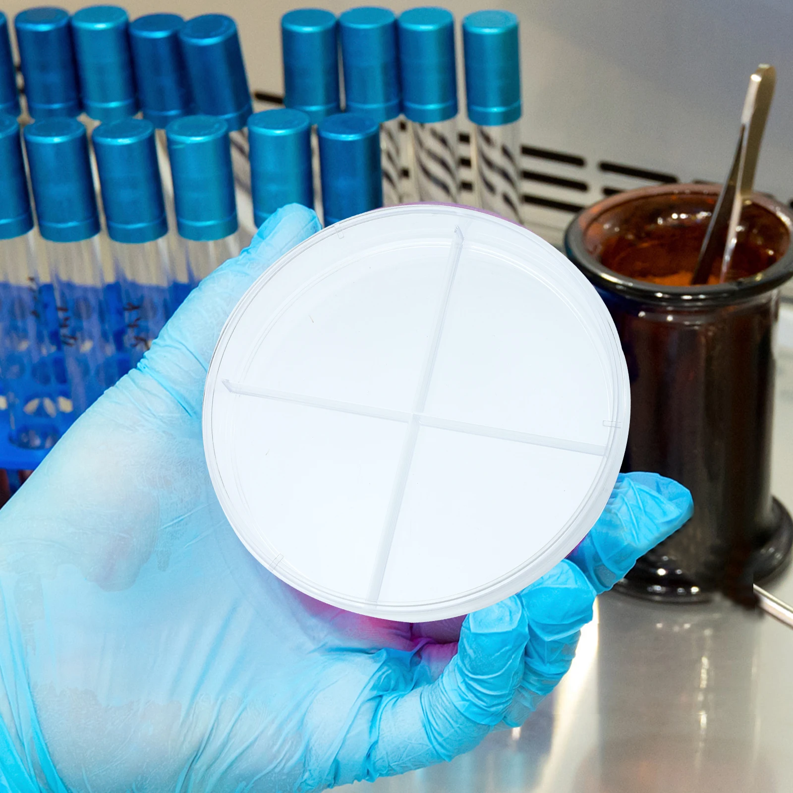 10pcs Petri Dish Plastic Transparent Four Compartments Cell Culture ...