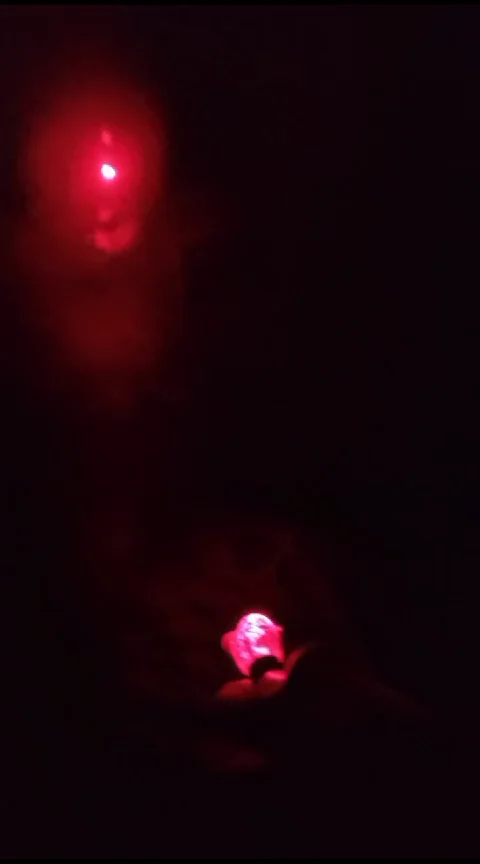 3 in 1 MultiFunctional Mini Laser Light Pointer, Spotlight - Torch ...