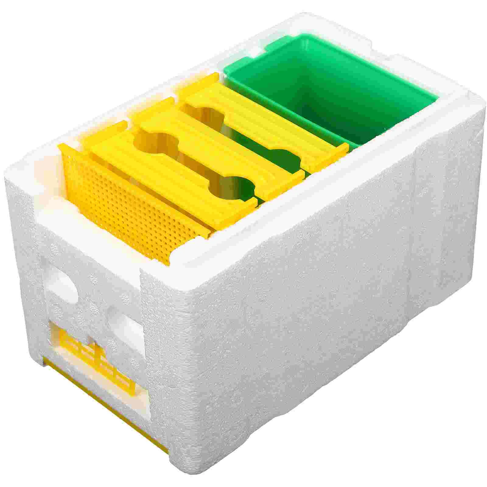 Bee-Breeding-Box-Plastic-Bee-Boxes-Beekeeper-Beehive-Terrarium-Beehive ...