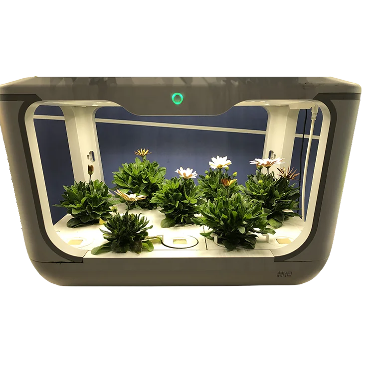 Indoor-Hydroponic-automatico-grow-box-smart-mini-grow-house ...