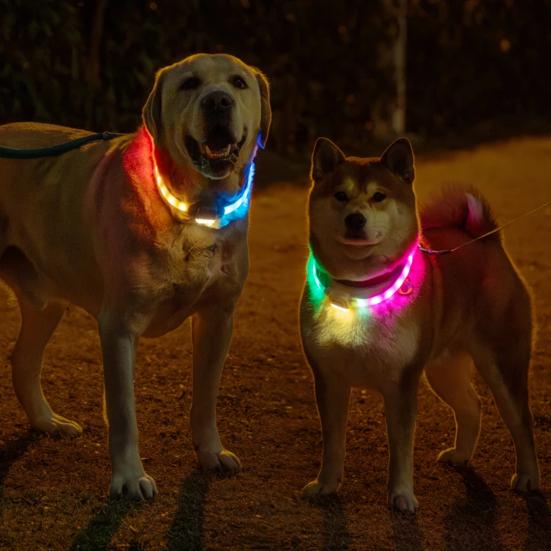 Mewoofun-6-Modes-Dog-Luminous-Rechargeable-LED-Cat-Collar-Removable ...