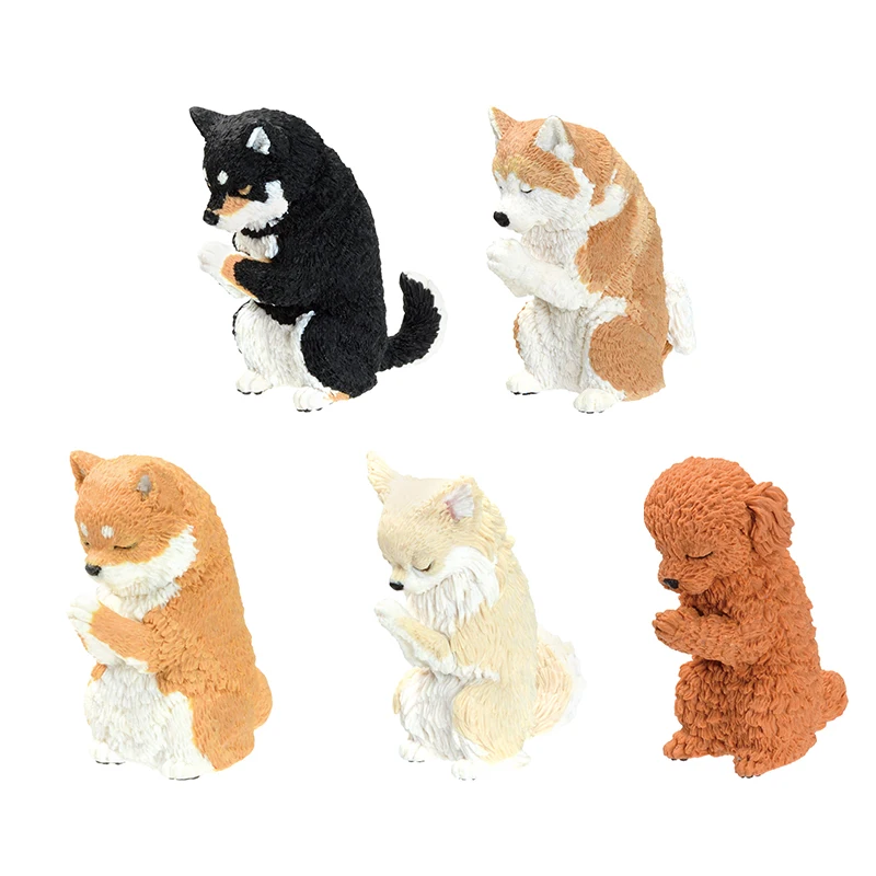 Cute Animals Praying