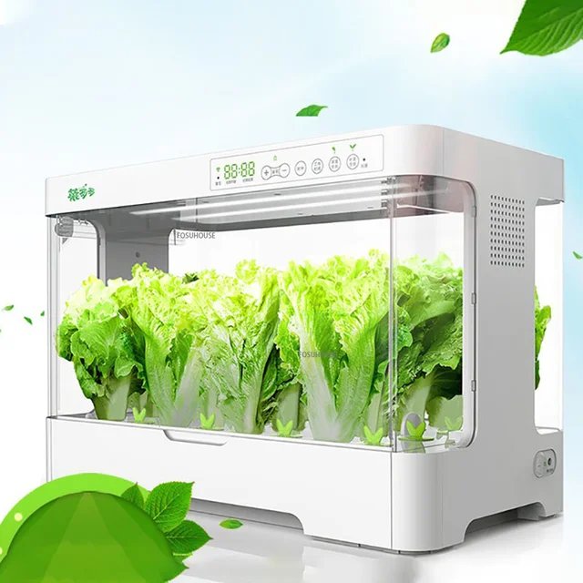 Hydroponic Systems: 5 Veggies Flourishing for Optimal Growth
