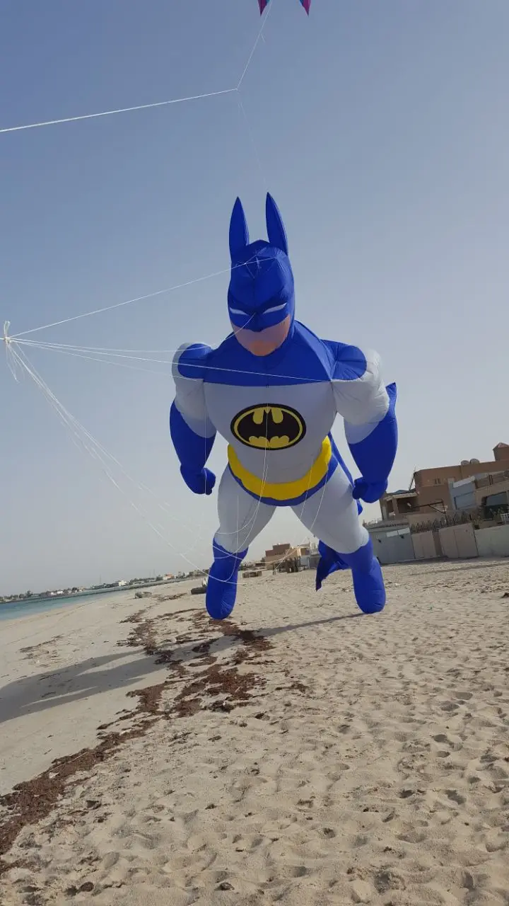 3D-11m-big-soft-umbrella-fabric-delta-kite-flying-vliegeren-windsock ...