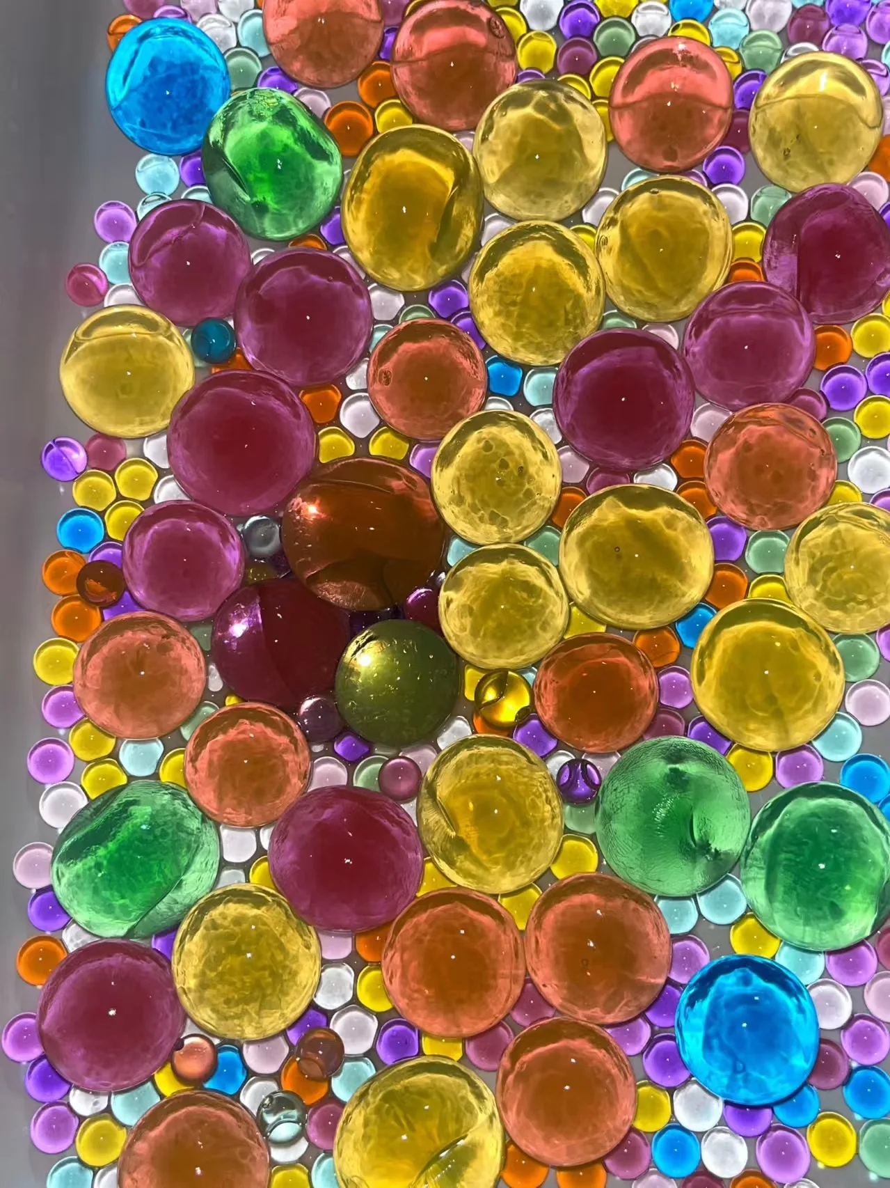 Sfcf088a6846c40459f7898024fe9379cs.jpg
