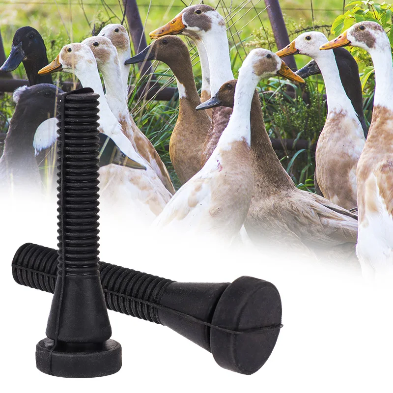 40 Pcs 6cm Chicken Rubber plucker fingers Duck quails Feeding tool Farm ...