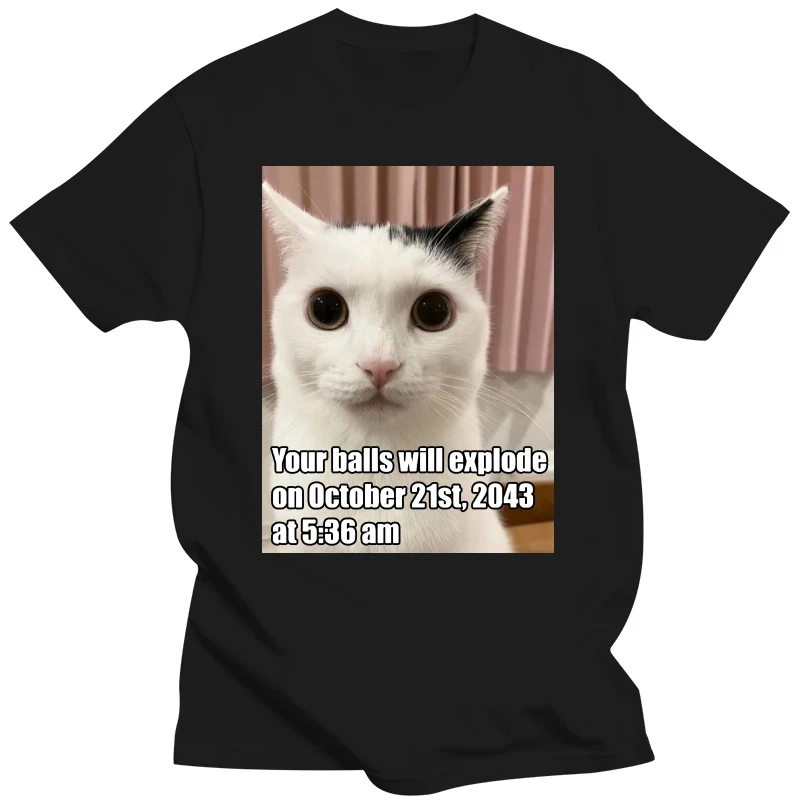 Unique Your Balls Will Explode Funny Cat Meme Graphic T Shirt Men S Fashion Hip Hop