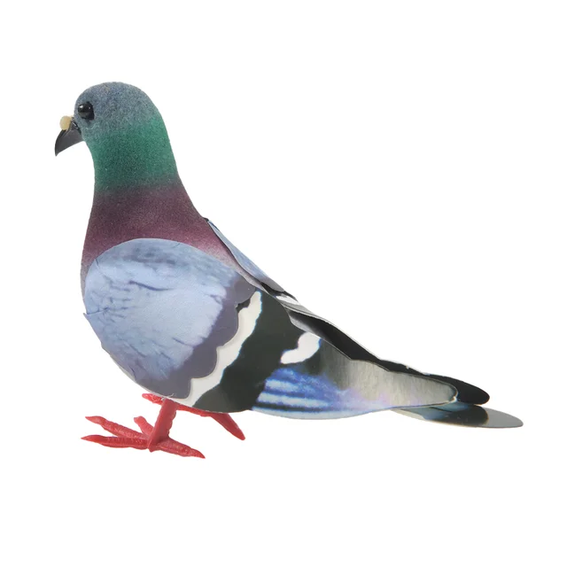 Store Home Products Sale Items Top Selling Feedback