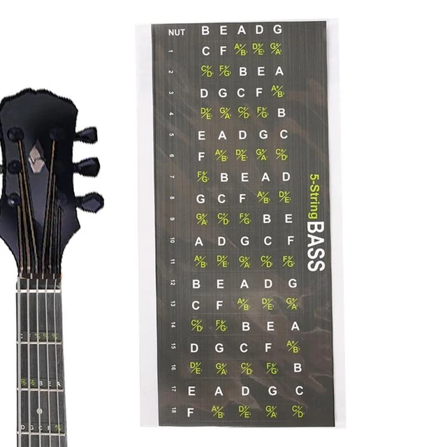 5 String Bass Fretboard Notes