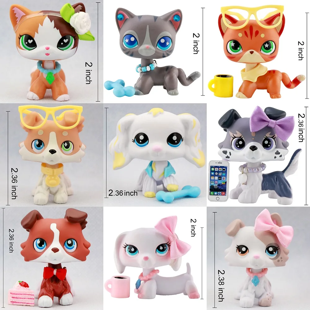 More Choices Custom Collie Shorthair Cat OOAK Collie Butter Ice Cream ...