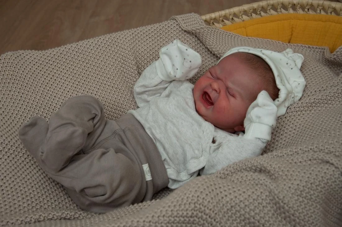 NPK-19inch-Finished-Reborn-Doll-MARIA-BABY-S-FIRST-CRY-Same-As-Picture ...