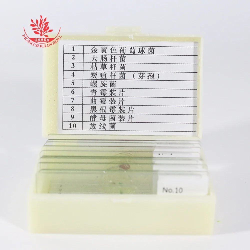 10-PCS-Professional-Prepared-Microbial-Fungus-Bacteria-Smear-Microscope ...
