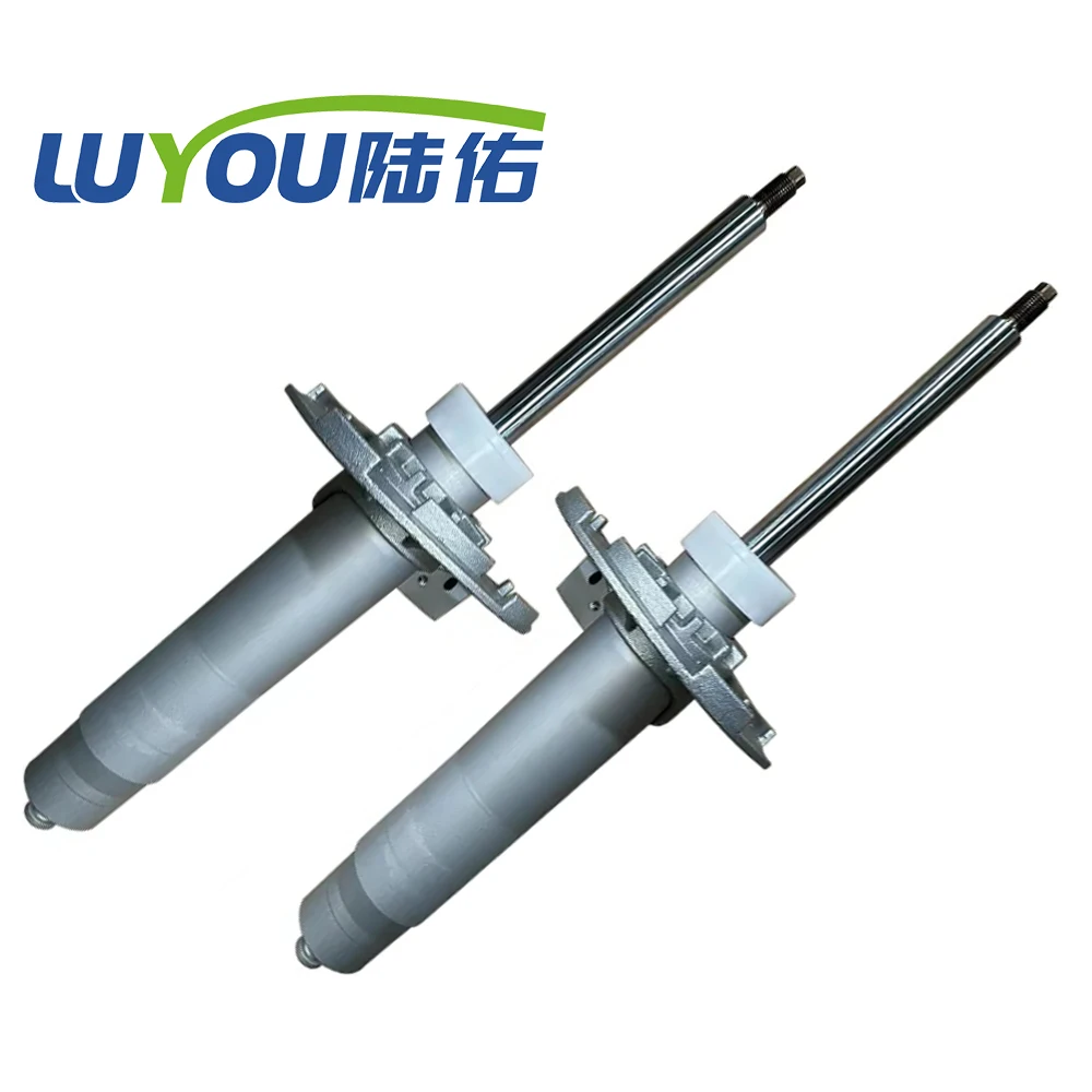 LUYOU-31318091349-31318091350-Suspension-Front-L-R-Shock-Absorber-Core ...