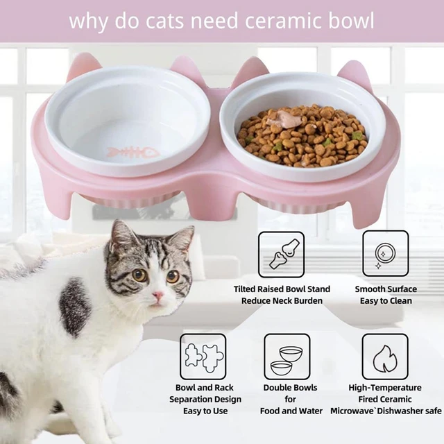 Cat Food Dish